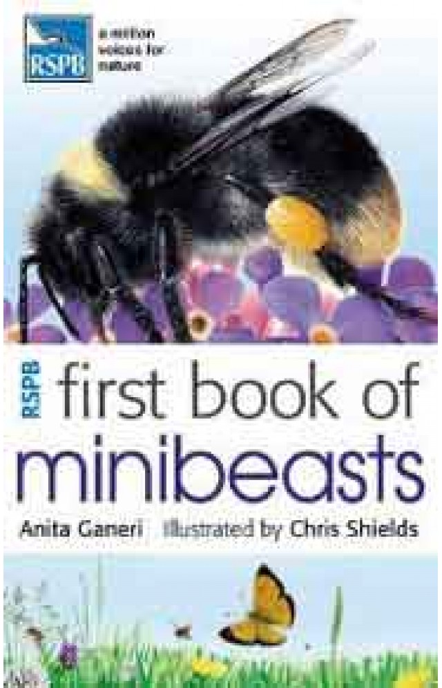 RSPB First Book Of Minibeasts